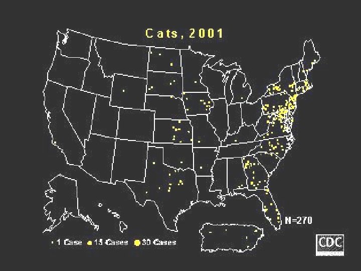 Rabies Paul R Earl Facultad de Ciencias Biolgicas