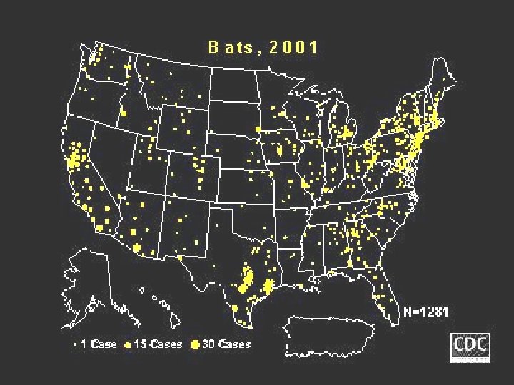 Rabies Paul R Earl Facultad de Ciencias Biolgicas