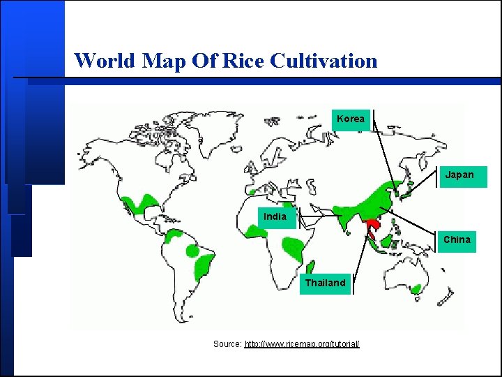 Rice Cookers Understanding Some of the Global and