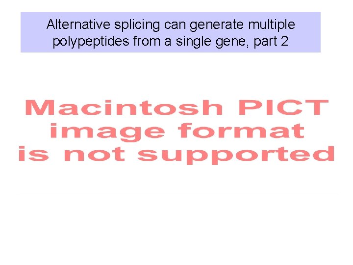 Fine Structure and Analysis of Eukaryotic Genes Split