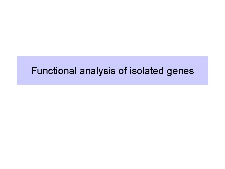 Fine Structure and Analysis of Eukaryotic Genes Split