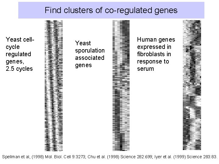 Fine Structure and Analysis of Eukaryotic Genes Split