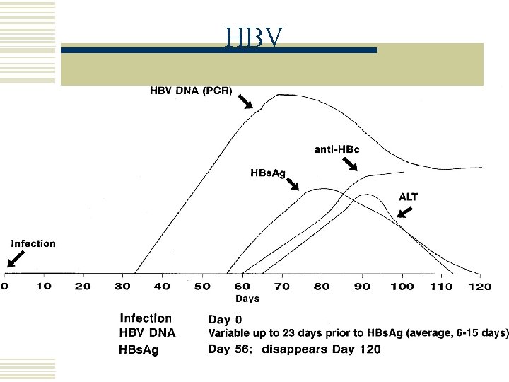 Hong Kong Association of Blood Transfusion Haematology NAT