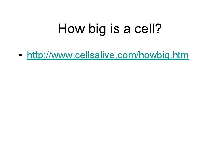 Cells The Basic Units of Life How big