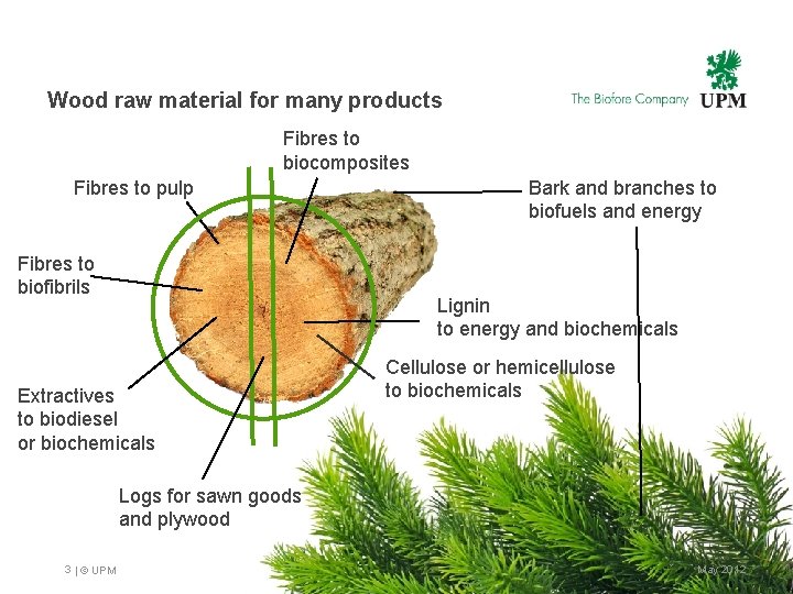 Role of Innovation in a Forest Based Economy