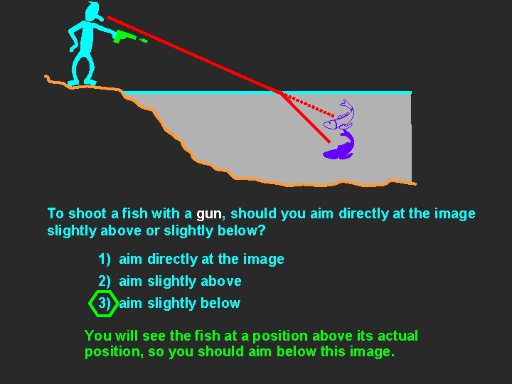 A fish swims below the surface of the