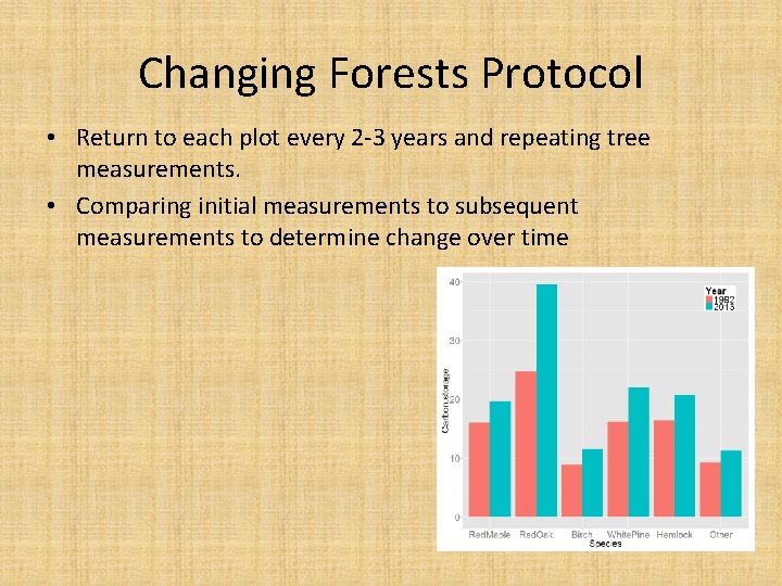 Our Changing Forests Harvard Forest Schoolyard Project August