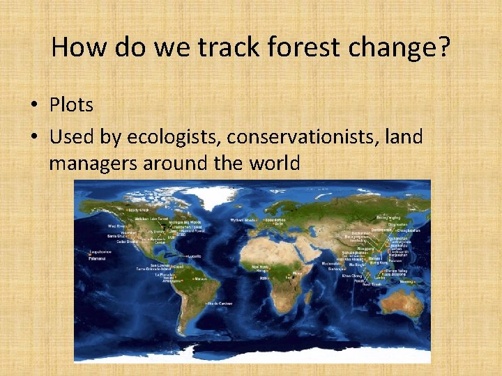 Our Changing Forests Harvard Forest Schoolyard Project August