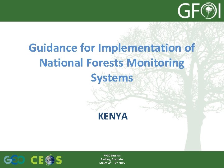 Guidance for Implementation of National Forests Monitoring Systems