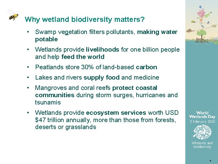 Wetland Biodiversity Why it matters Biodiversity is the