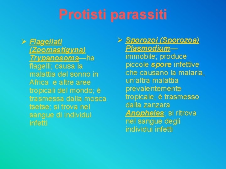 REGNO DEI PROTISTI Prof ssa Elena Truffo Anno