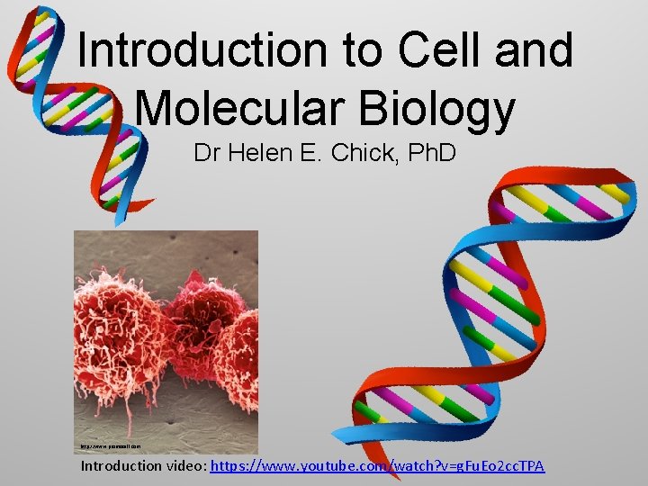 Introduction to Cell and Molecular Biology Dr Helen