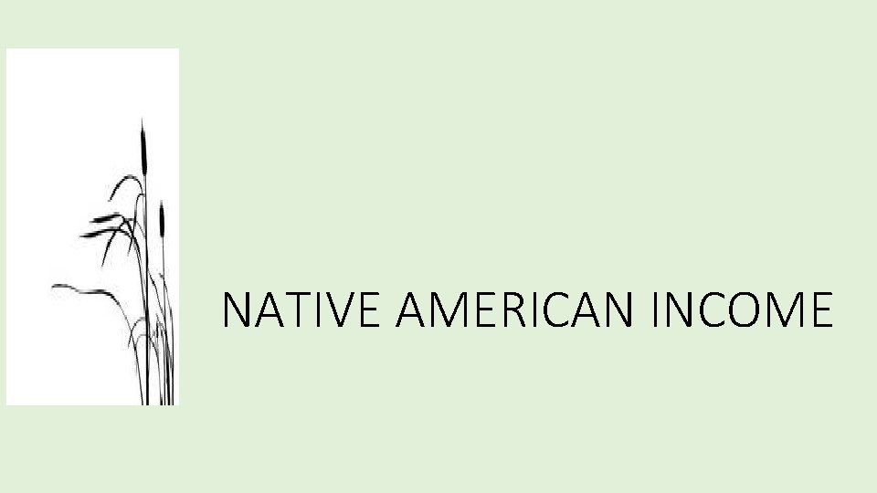 NATIVE AMERICAN INCOME What is this income Isnt