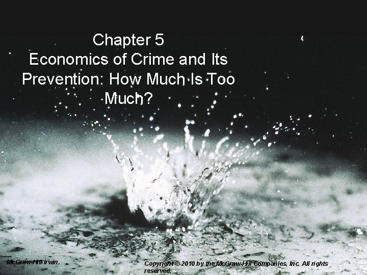 Chapter 5 Economics of Crime and Its Prevention