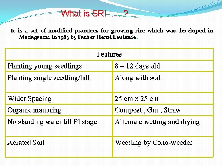 SCIENTIFIC METHOD OF RICE CULTIVATION DSR SRI and