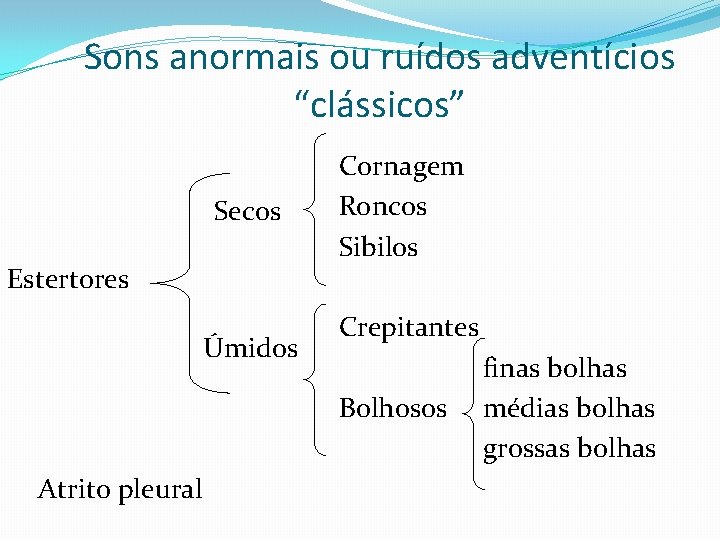 Anatomia e ausculta pulmonar Profa Dra Ada Clarice