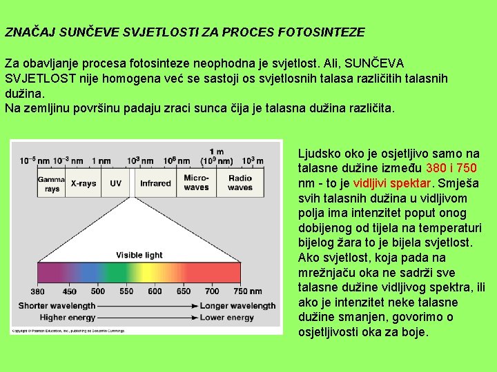 FOTOSINTEZA Istorijat poetak razvoja fiziologije biljaka kao posebne