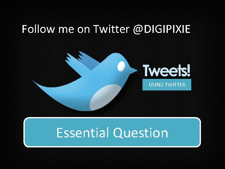 Follow me on Twitter DIGIPIXIE USING TWITTER How