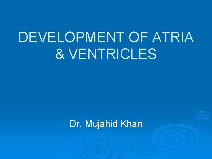 DEVELOPMENT OF ATRIA VENTRICLES Dr Mujahid Khan Fate