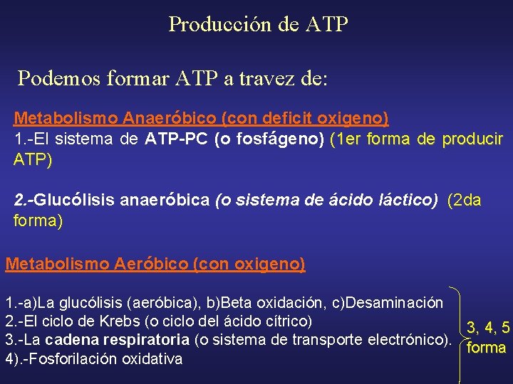 Produccin de ATP Podemos formar ATP a travs