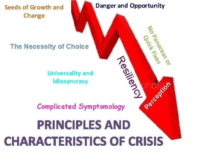 Advanced Crisis Intervention Presentation by Jane Dwyer MSW