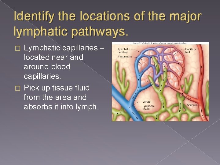 Lymphatic System and Immunity Ch 14 Describe the