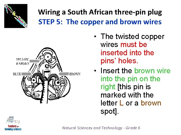 Natural Sciences and Technology Grade 6 Term 3