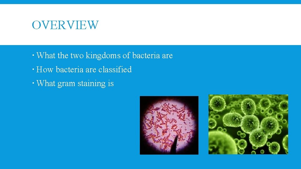 BACTERIA CLASSIFICATION AND CHARACTERISTICS By Chelsea Sam and