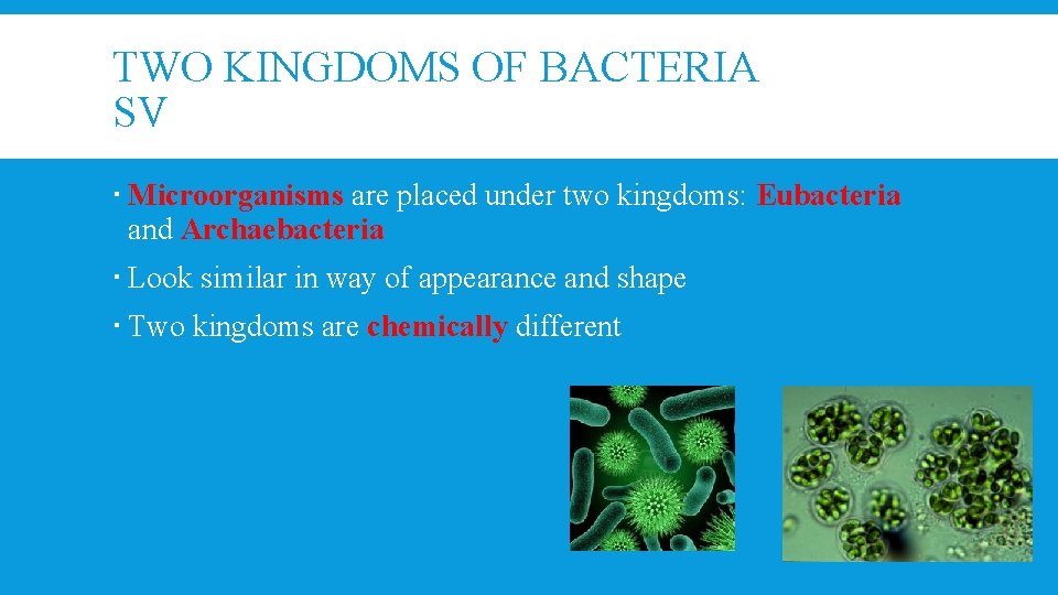 BACTERIA CLASSIFICATION AND CHARACTERISTICS By Chelsea Sam and