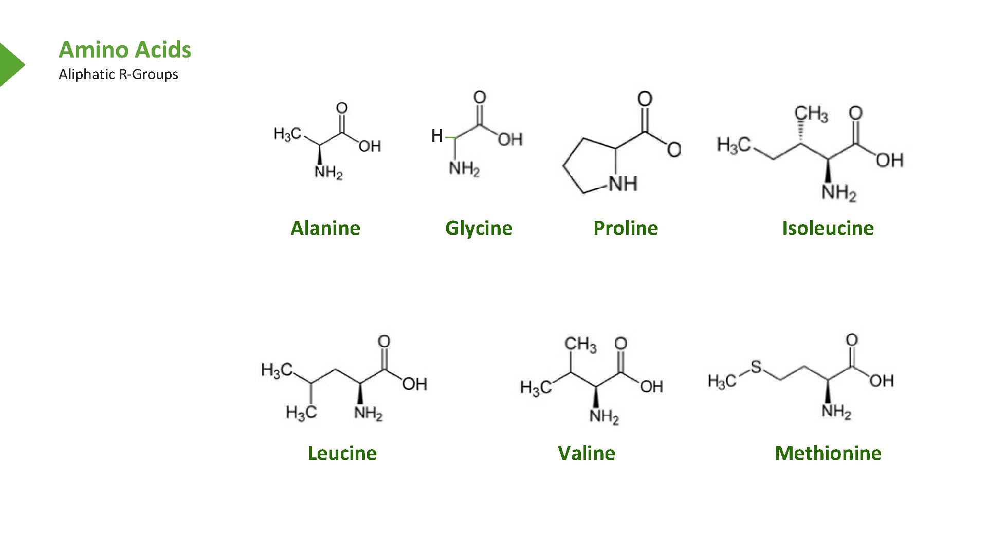 Amino Acids Biochemistry Free For All Part 1
