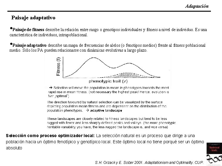 ADAPTACION Adaptacin Definicin de Adaptacin 1 The act