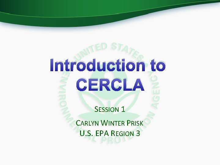 Introduction to CERCLA SESSION 1 CARLYN WINTER PRISK