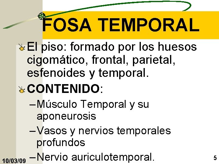 100309 1 10 MSCULOS DE LA MASTICACIN 100309