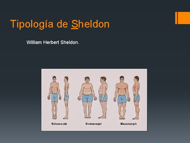 COMPONENTE FSICO TIPOLOGAS DE LA PERSONALIDAD TIPOLOGA DE