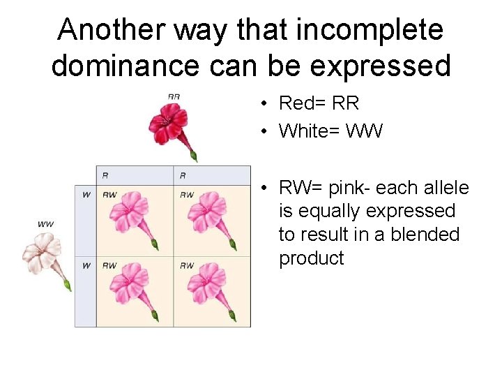 Codominant vs Incomplete Dominant Whats the difference Beyond