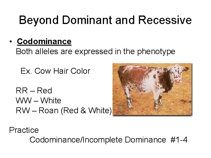 Codominant vs Incomplete Dominant Whats the difference Beyond