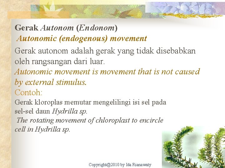GERAK PADA TUMBUHAN PLANTS MOVEMENT By IDA RIANAWATY