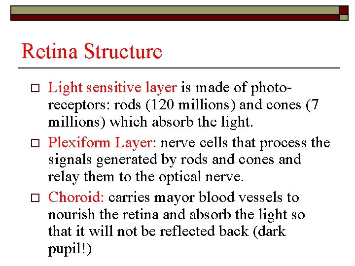 Human Eye o A human eyeball is like