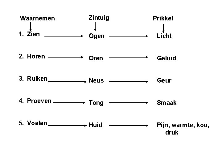Zintuiglijke waarneming 3 vmbobk Waarnemen Een zintuig is