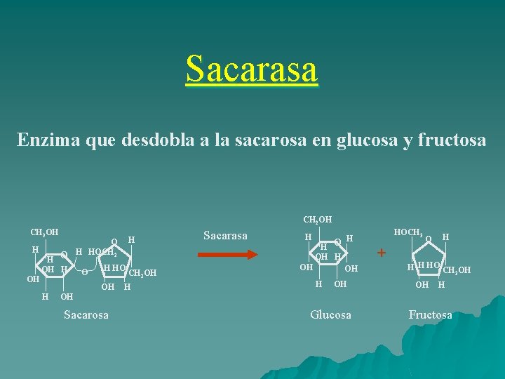 Trabajo Prctico N 2 Estudio Cintico de la
