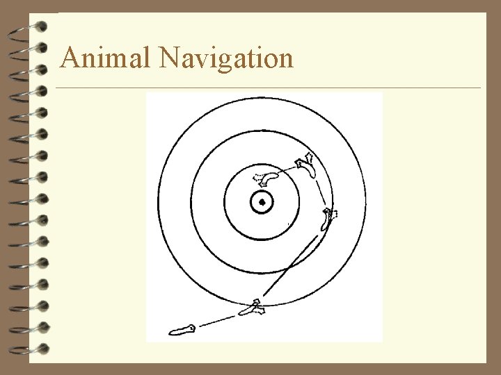 CPS 300 Graduate Seminar Student Presentations Mobile Robot