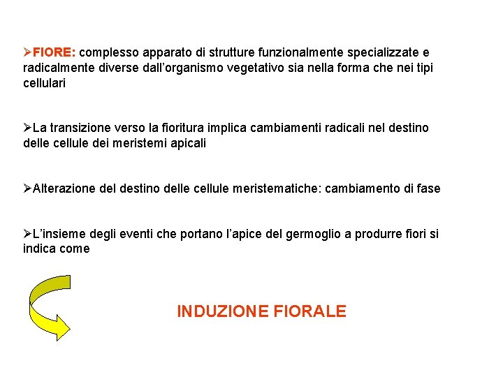 LO SVILUPPO DEL FIORE Struttura schematica di un