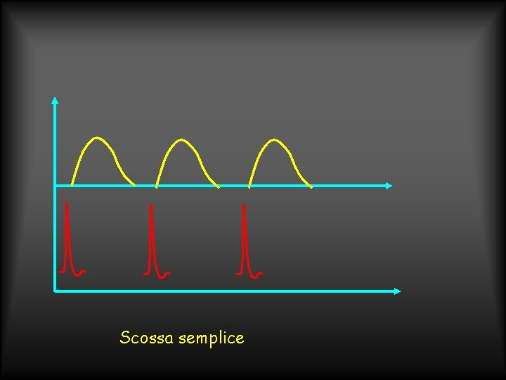 LE BASI MOLECOLARI DELLA CONTRAZIONE LE UNITA CONTRATTILI