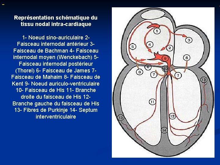 TROUBLES DU RYTHME ET DE LA CONDUCTION ECG