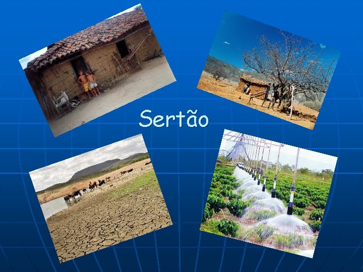 Subregies do Nordeste MeioNorte Serto Agreste Zona da