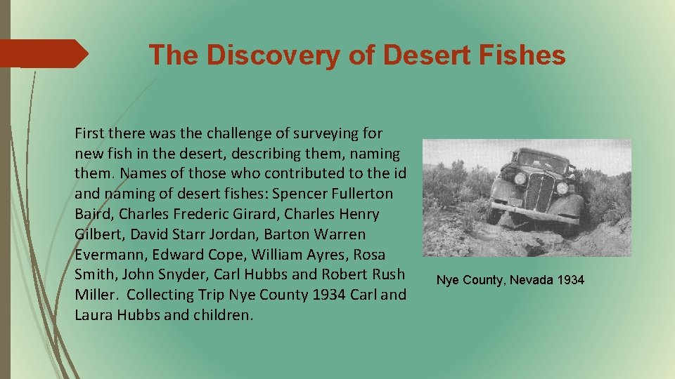 Battle Against Extinction The Desert Fishes Council legacy