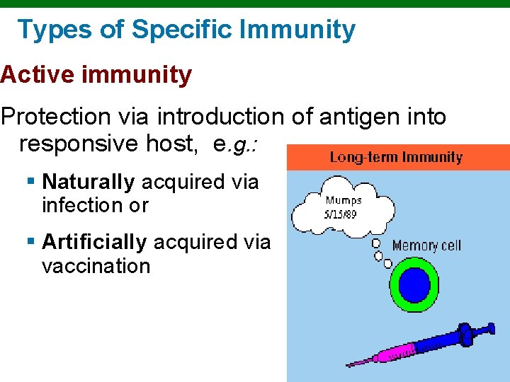 17 Adaptive Immunity Specific Defenses of the Host