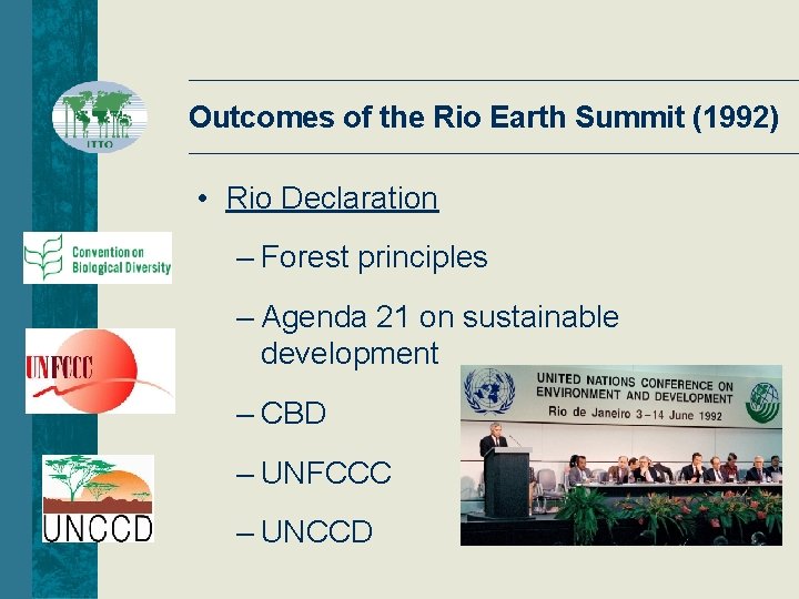 Sustainable Forest Management International Experiences and Mexican ...