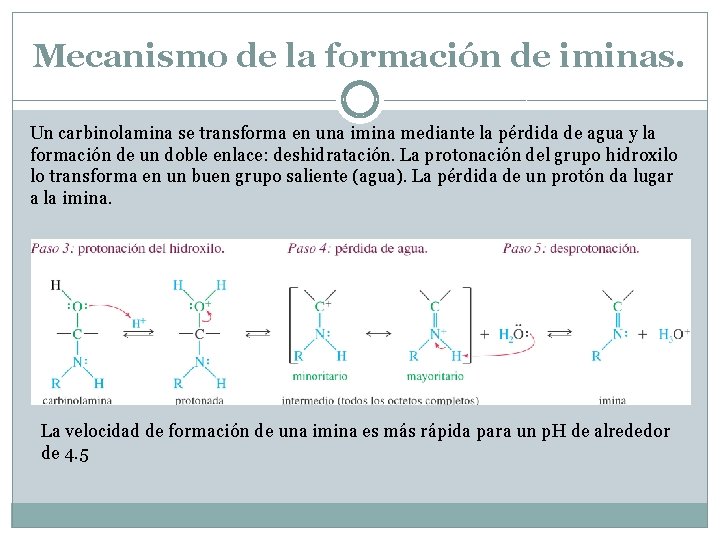 CETONAS Y ALDEHIDOS DR CARLOS ANTONIO RIUS ALONSO