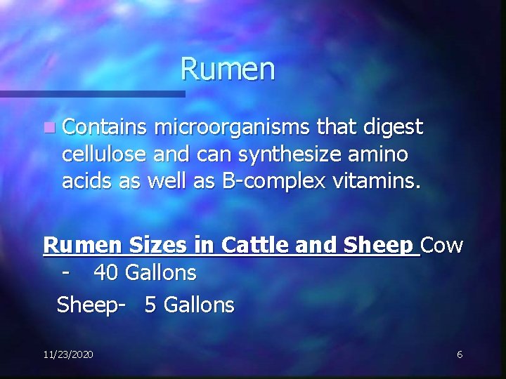 Ruminant Digestion 11232020 1 Different Digestive Systems n